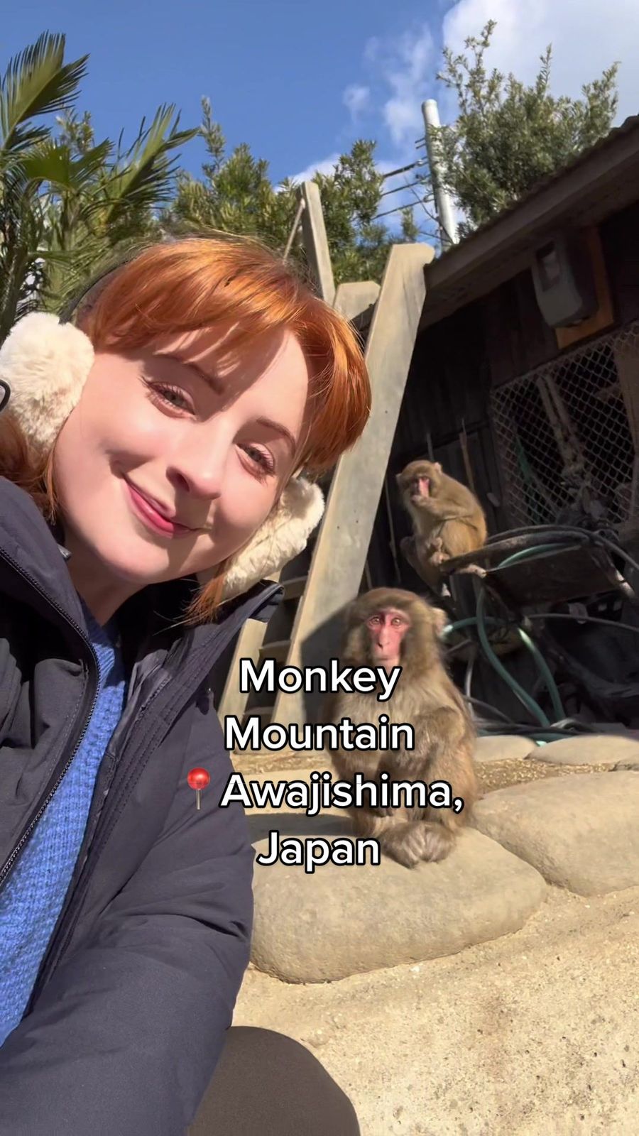 Megan and Ben – Braid