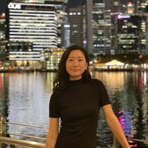 Emily Fang – Braid