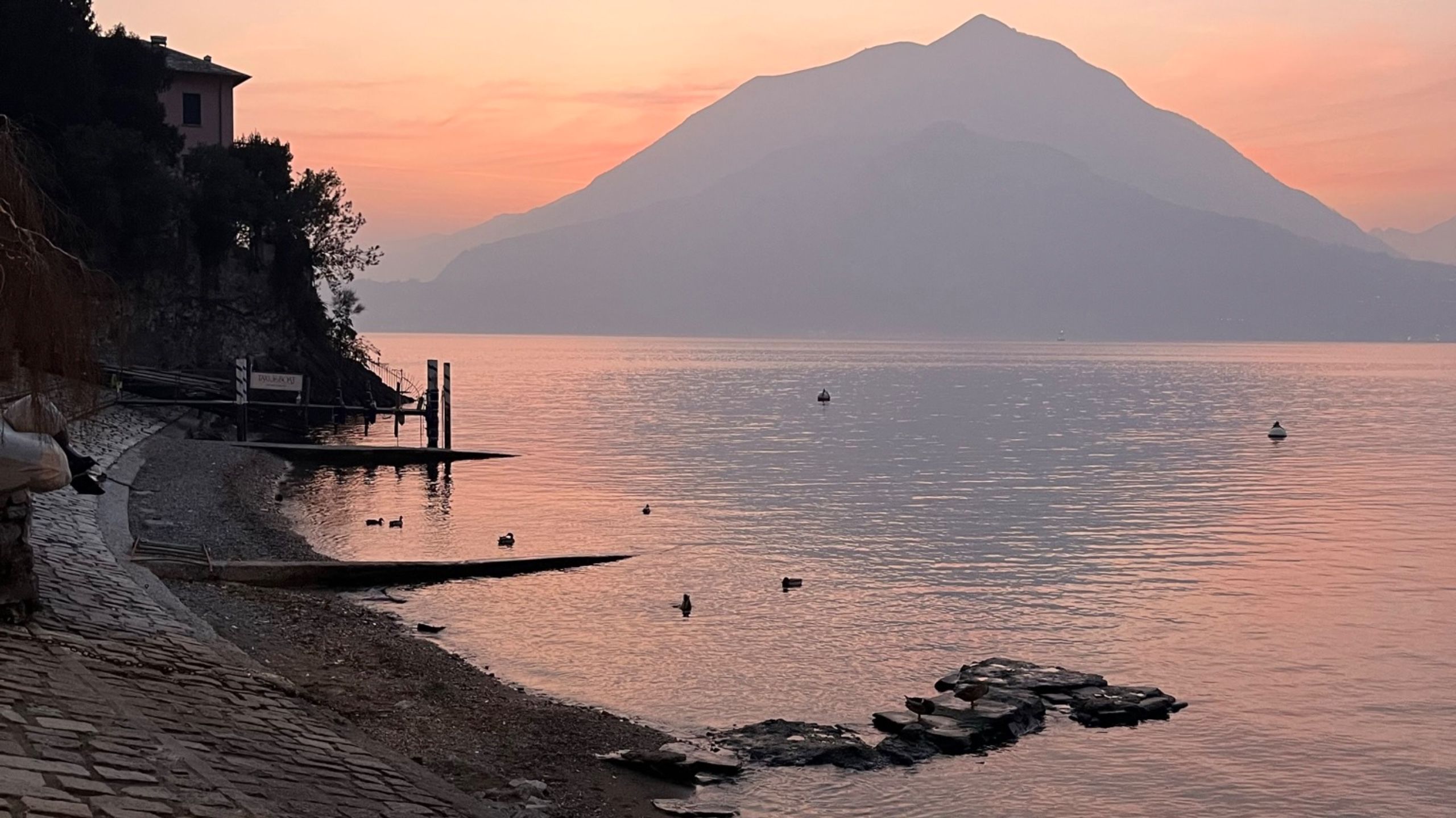 Emily Floyd – Braid